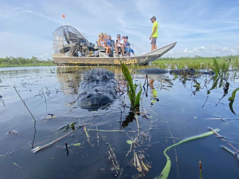 New Orleans: 10 Passenger Airboat Swamp Tour - Final Thoughts