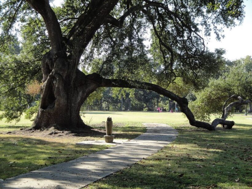 New Orleans: 2-Hour 15-Minute City and Cemetery Tour by Bus - An Honest Look at the Tour Experience