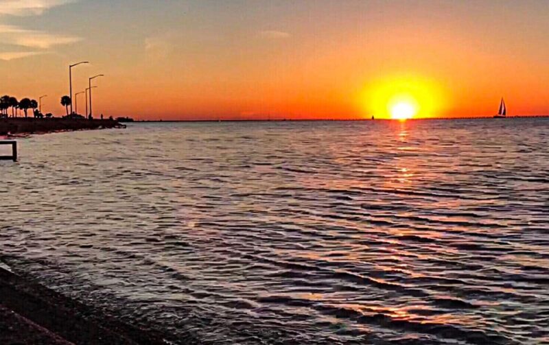 New Orleans: 2-Hour 15-Minute City and Cemetery Tour by Bus - Transportation, Timing & Group Size