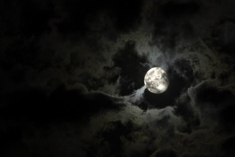 New Orleans: 2-Hour Paranormal Investigation Tour - What You Can Expect on This Tour