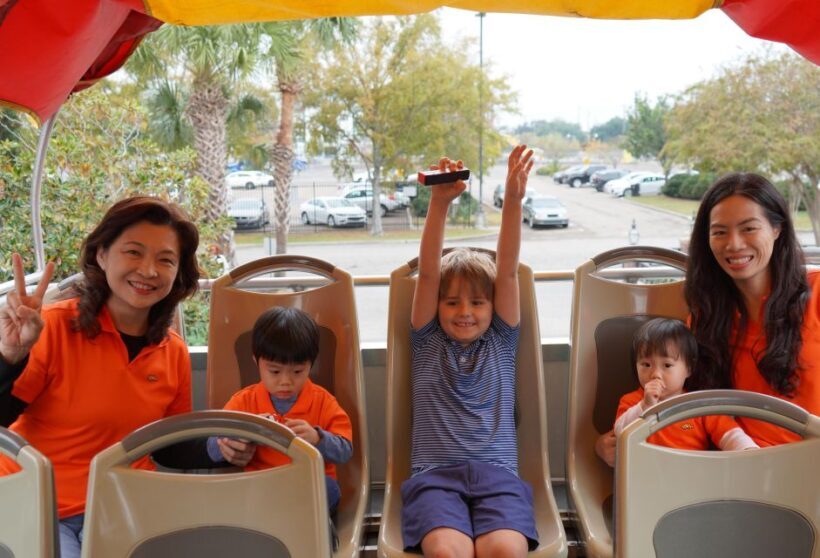 New Orleans: 2 or 3 Day Hop-On Hop-Off Bus with Walking Tour - Walking Tours: Tips and Insights