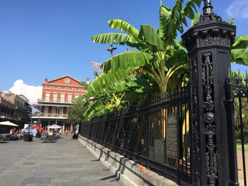 New Orleans: 45 Minutes in the French Quarter - An Overview of What to Expect