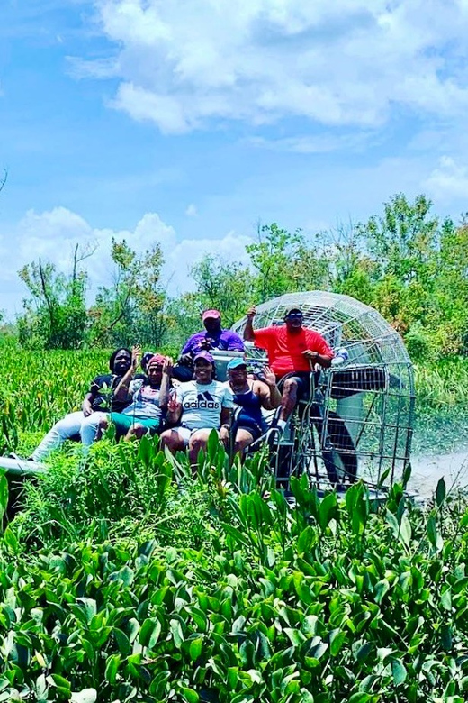 New Orleans: 6 Passenger Premium Airboat Swamp Tour - Key Points