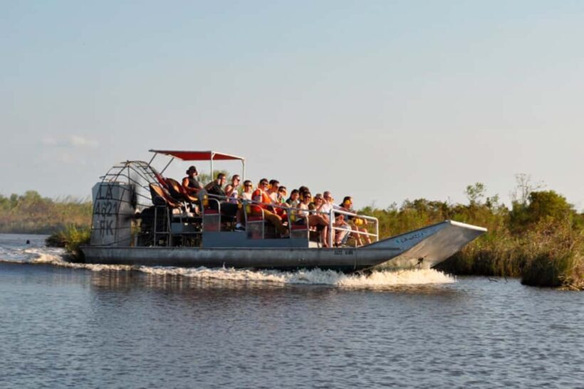 New Orleans: Airboat Swamp Adventure with Transportation - The Tour Itself: What to Expect on the Water