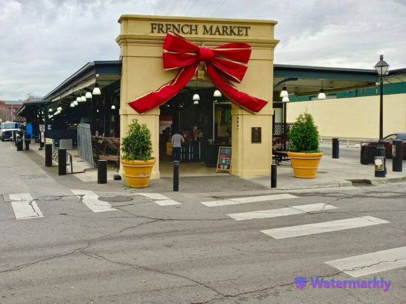 New Orleans: Airboat Swamp & City and Katrina Tour Combo - Authenticity and Reviews