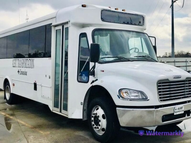 New Orleans: Airboat Swamp & City and Katrina Tour Combo - The Practical Side: Value and Logistics