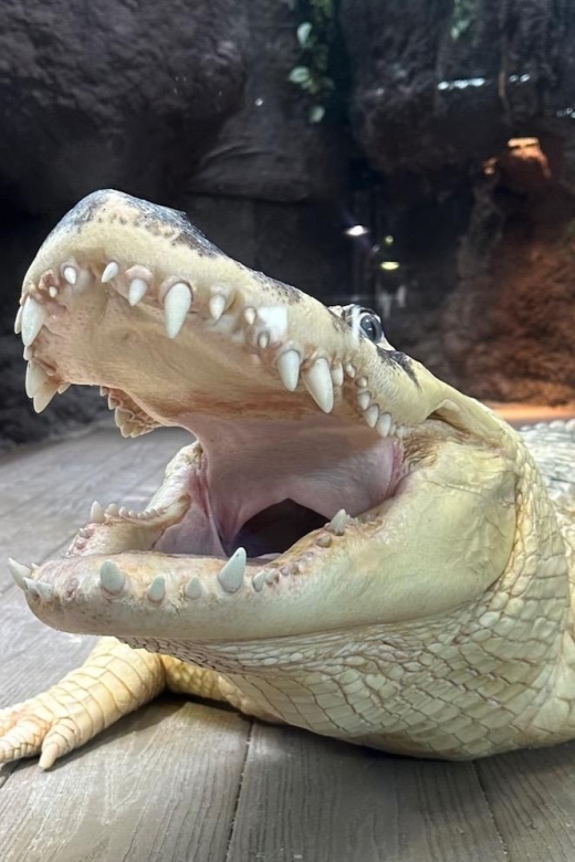 New Orleans: Audubon Aquarium & Insectarium Ticket - What’s Unique About the Aquarium?