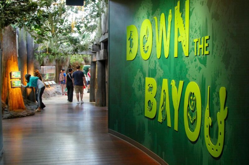 New Orleans: Audubon Aquarium & Insectarium Ticket - Combining with the Zoo for Maximum Value