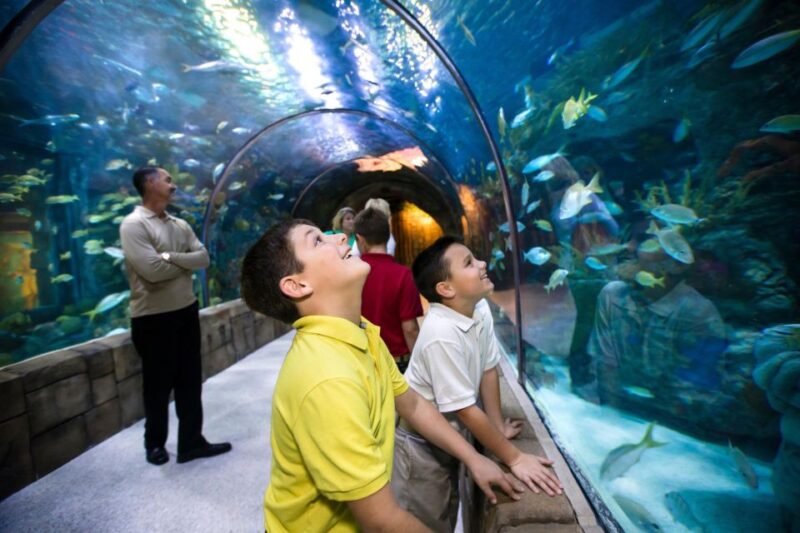 New Orleans: Audubon Aquarium & Insectarium Ticket - Practical Tips for Visiting