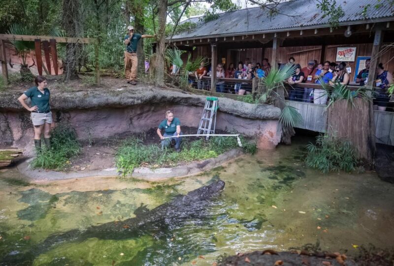 New Orleans: Audubon Zoo Ticket and Combination Option - Final Thoughts