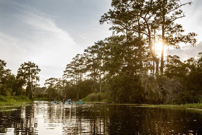 New Orleans Bayou Adventure: Kayak Rental - A Closer Look at the New Orleans Bayou Adventure: Kayak Rental