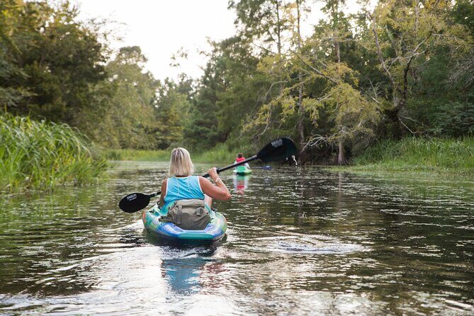 New Orleans Bayou Adventure: Kayak Rental - Summary and Who Will Love This Experience