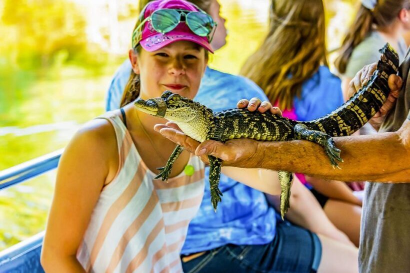 New Orleans: Bayou Swamp Tour and Oak Alley Plantation Tour - The Itinerary Breakdown: What to Expect