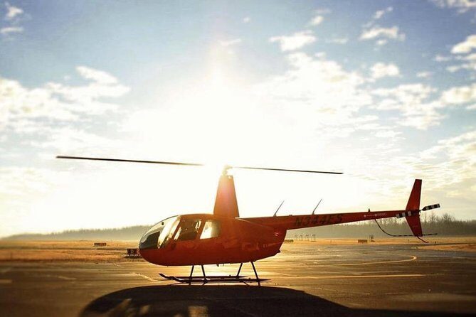 New Orleans City and Swamp Helicopter Tour - Who Will Love This Tour?