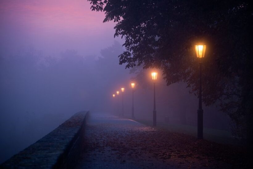 New Orleans Dark History Walking Tour - Authentic Experience for Curious Travelers