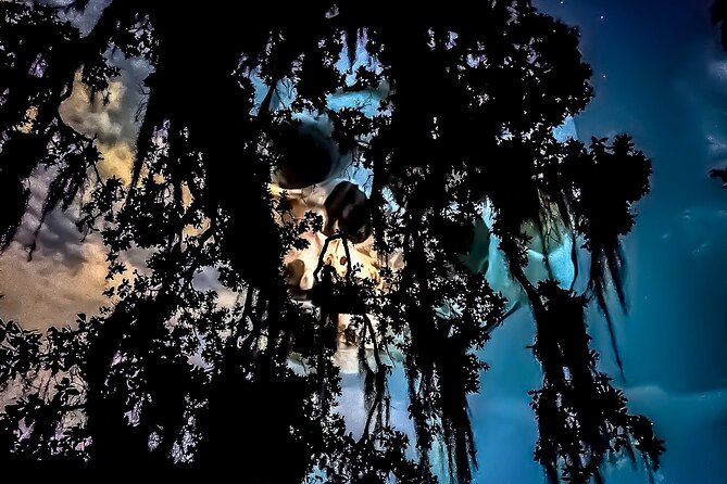 New Orleans Dead of Night Ghosts and Cemetery Bus Tour - What Travelers Say