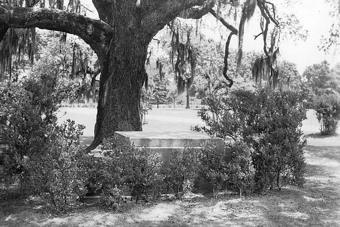 New Orleans Dead of Night Ghosts and Cemetery Bus Tour - Additional Details & Considerations