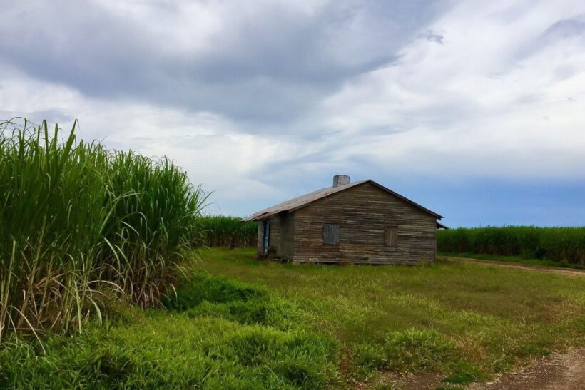 New Orleans: Destrehan Plantation & Airboat Combo Tour - Practical Details and What to Expect