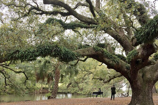 New Orleans Favorites Explore Beyond the French Quarter - What to Expect from the Experience