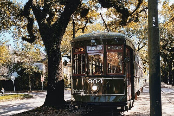 New Orleans Favorites Explore Beyond the French Quarter - Is This Tour Right for You?