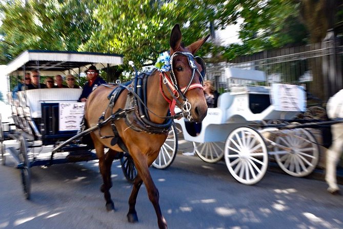 New Orleans French Quarter and More Carriage Ride - Frequently Asked Questions