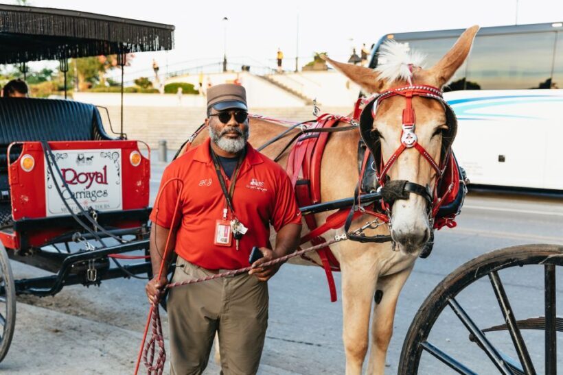 New Orleans: French Quarter Sightseeing Carriage Ride - Who Should Book This Tour?