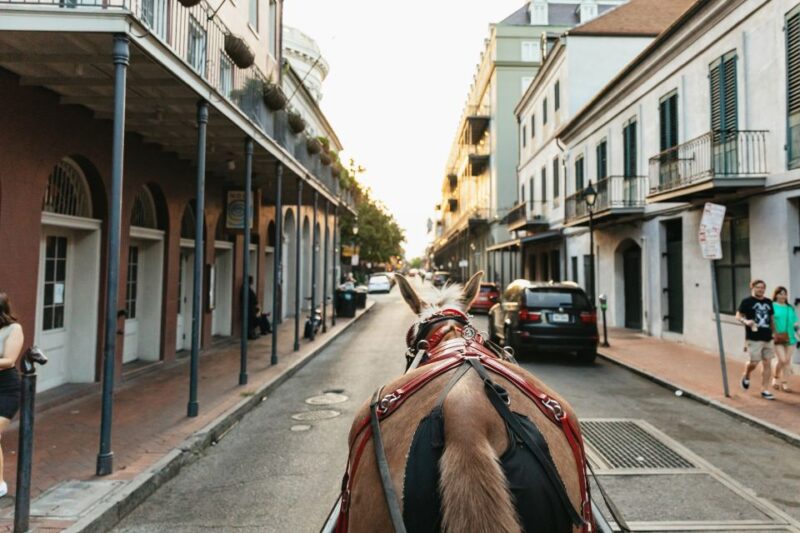 New Orleans: French Quarter Sightseeing Carriage Ride - Practical Tips for Your Ride