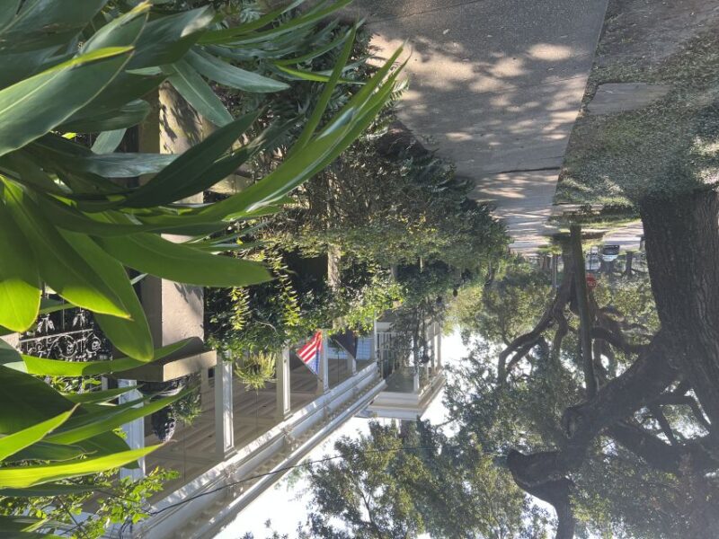 New Orleans : Garden District Architecture Walking tour - Authentic Local Experience