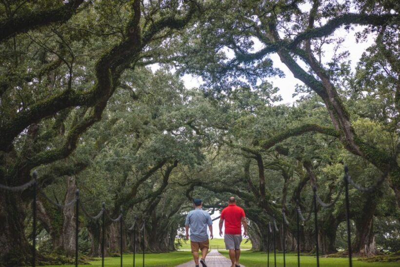 New Orleans Garden District Tour - A Closer Look at the Itinerary: What to Expect