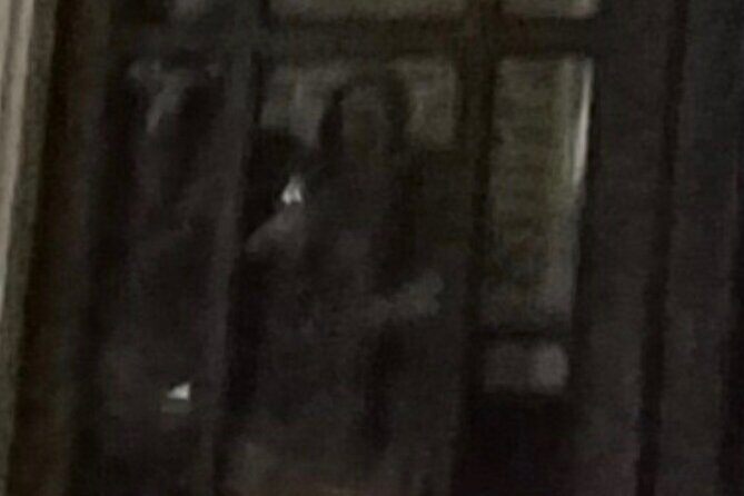 New Orleans Ghost Adventure with Real Paranormal Equipment - Final Thoughts: Who Is This Tour Best For?