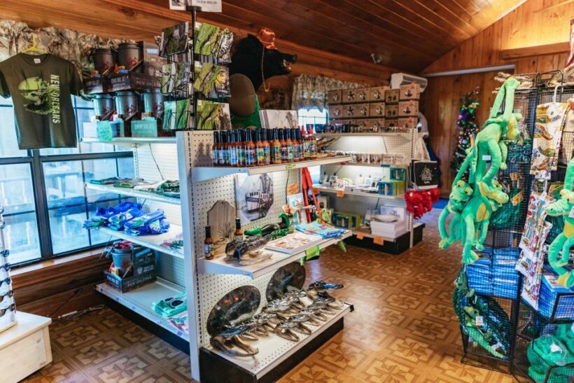 New Orleans: Guided Swamp Cruise by Tour Boat - Authentic Experiences and Top Tips