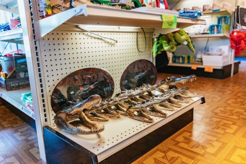 New Orleans: Guided Swamp Cruise by Tour Boat - Final Thoughts