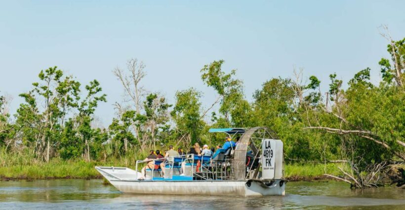 New Orleans: High Speed 9 Passenger Airboat Tour - An In-Depth Look at the Airboat Tour Experience