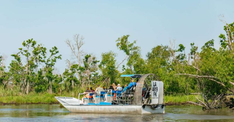 New Orleans: High Speed 9 Passenger Airboat Tour - The Itinerary in Detail
