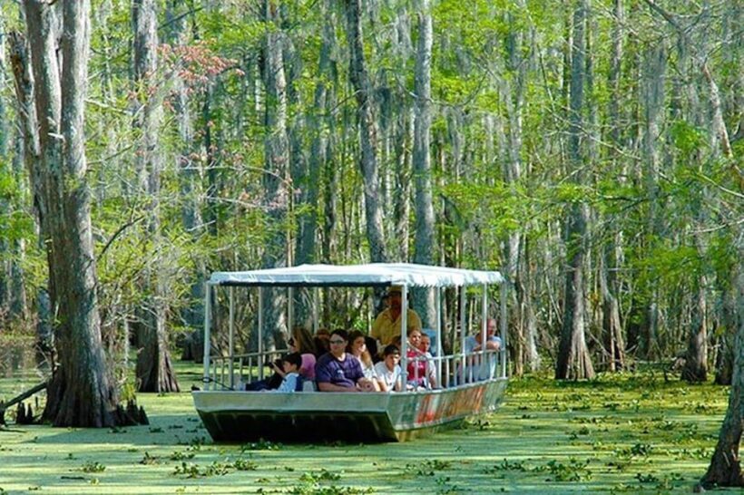 New Orleans: Honey Island Swamp and Bayou Boat Tour - Final Thoughts