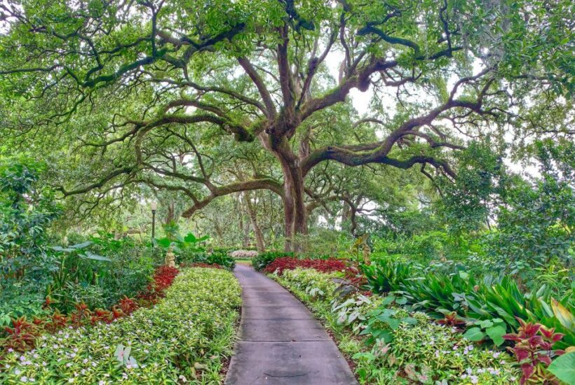New Orleans: Houmas House Plantation Tour - What Makes Houmas House Special?