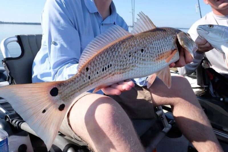 New Orleans: Kayak Fishing Charter in Bayou Bienvenue - Practical Details: What to Know