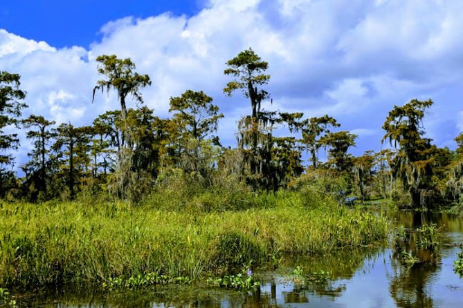 New Orleans Large Airboat Swamp Tour - Educational Aspects