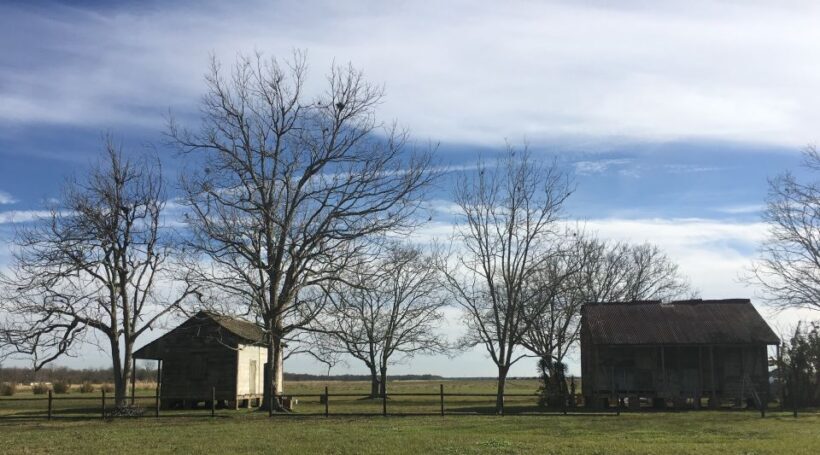 New Orleans: Laura Creole Plantation Guided Tour - Why This Tour Works for Travelers