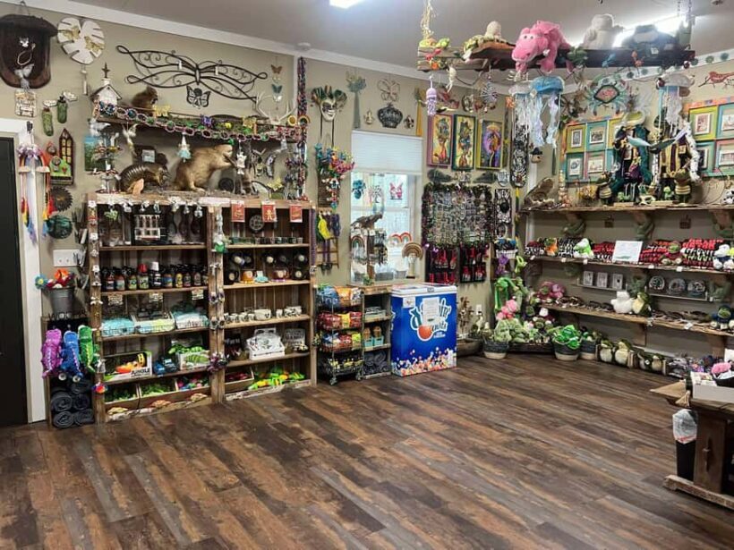New Orleans Manchac Bayou Swamp Cruise W/ Optional Pick-Up - Who Will Love This Tour?
