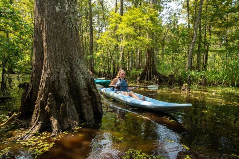New Orleans: Manchac Magic Kayak Swamp Tour - Final Thoughts