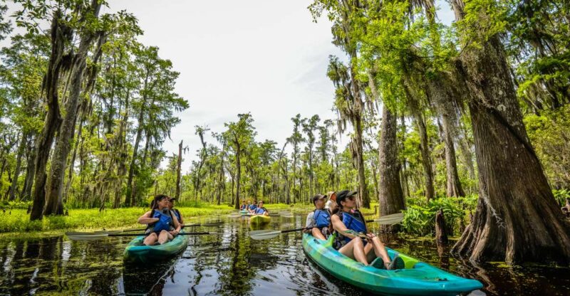 New Orleans: Manchac Magic Kayak Swamp Tour - Exploring the Manchac Swamp: A Review of the Kayak Adventure Near New Orleans