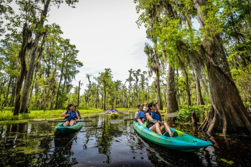 New Orleans: Manchac Magic Kayak Swamp Tour - FAQ