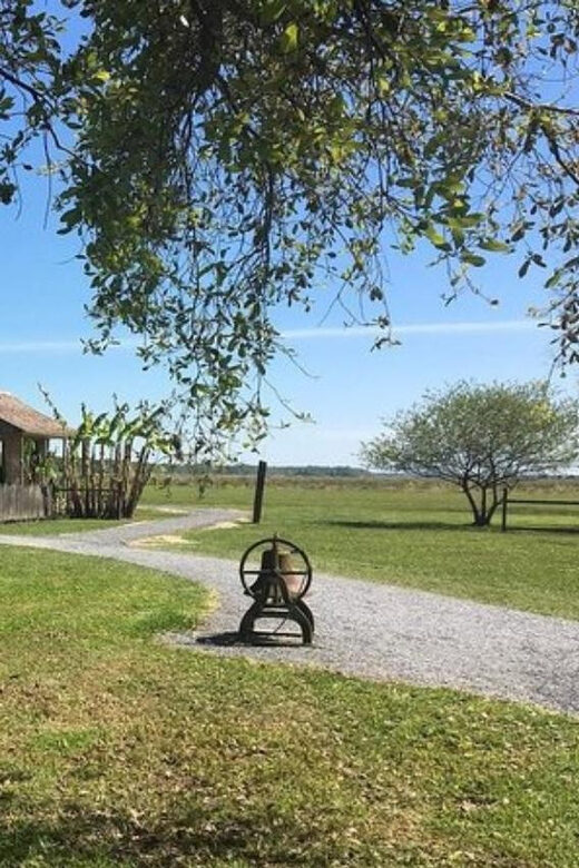 New Orleans: Oak Alley & Laura Plantation Tour w/Transport - Key Points