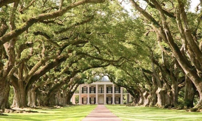 New Orleans: Oak Alley or Laura Plantation & Airboat Tour - The Itinerary in Detail
