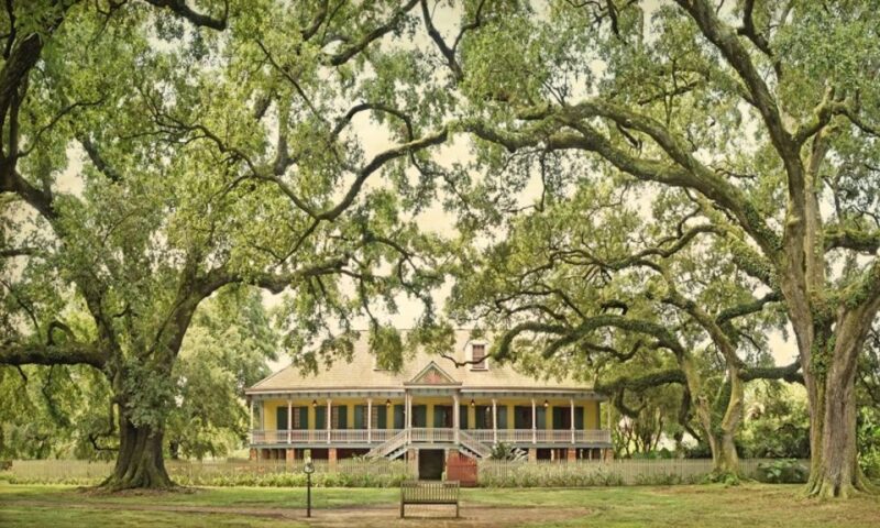 New Orleans: Oak Alley or Laura Plantation & Airboat Tour - Final Thoughts: Who Is This Tour For?