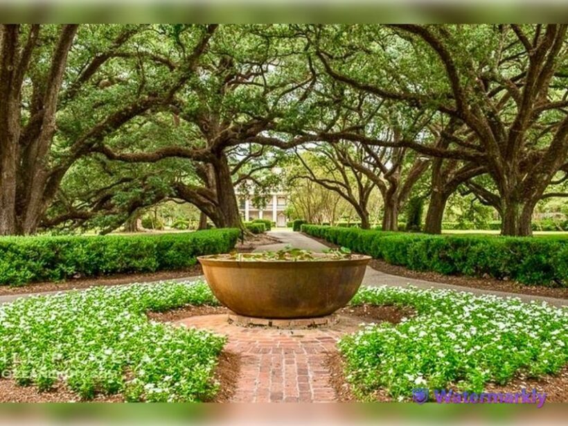 New Orleans: Oak Alley Plantation and Katrina City Tour - FAQ