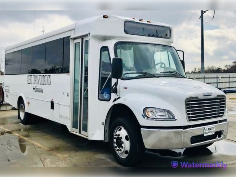 New Orleans: Oak Alley Plantation and Katrina City Tour - Who Will Love This Tour?