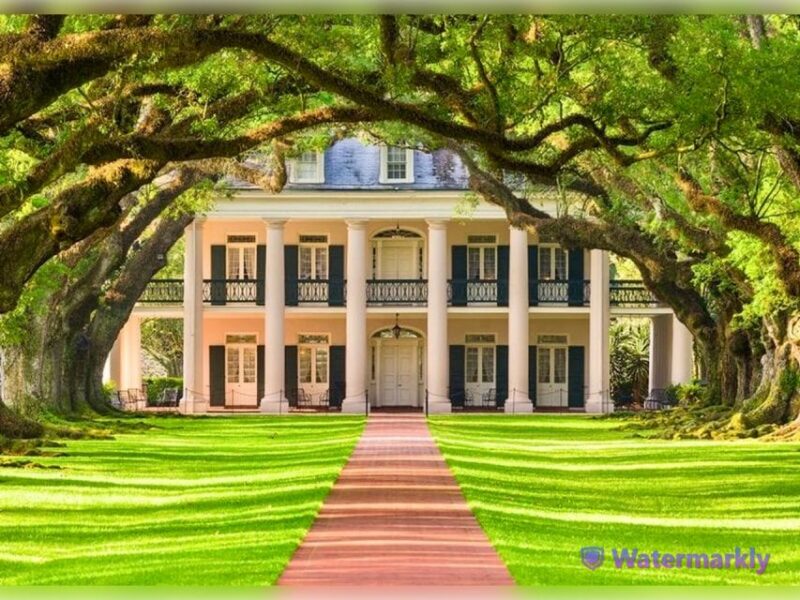 New Orleans: Oak Alley Plantation and Katrina City Tour - The Sum Up