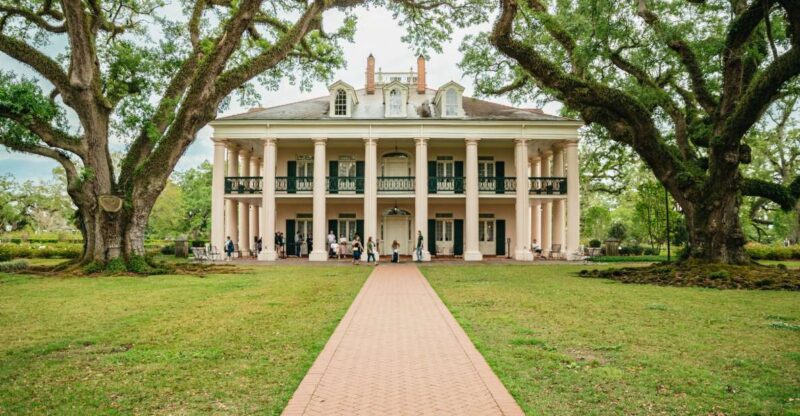 New Orleans: Oak Alley Plantation and Swamp Cruise Day Trip - Who Will Love This Tour?